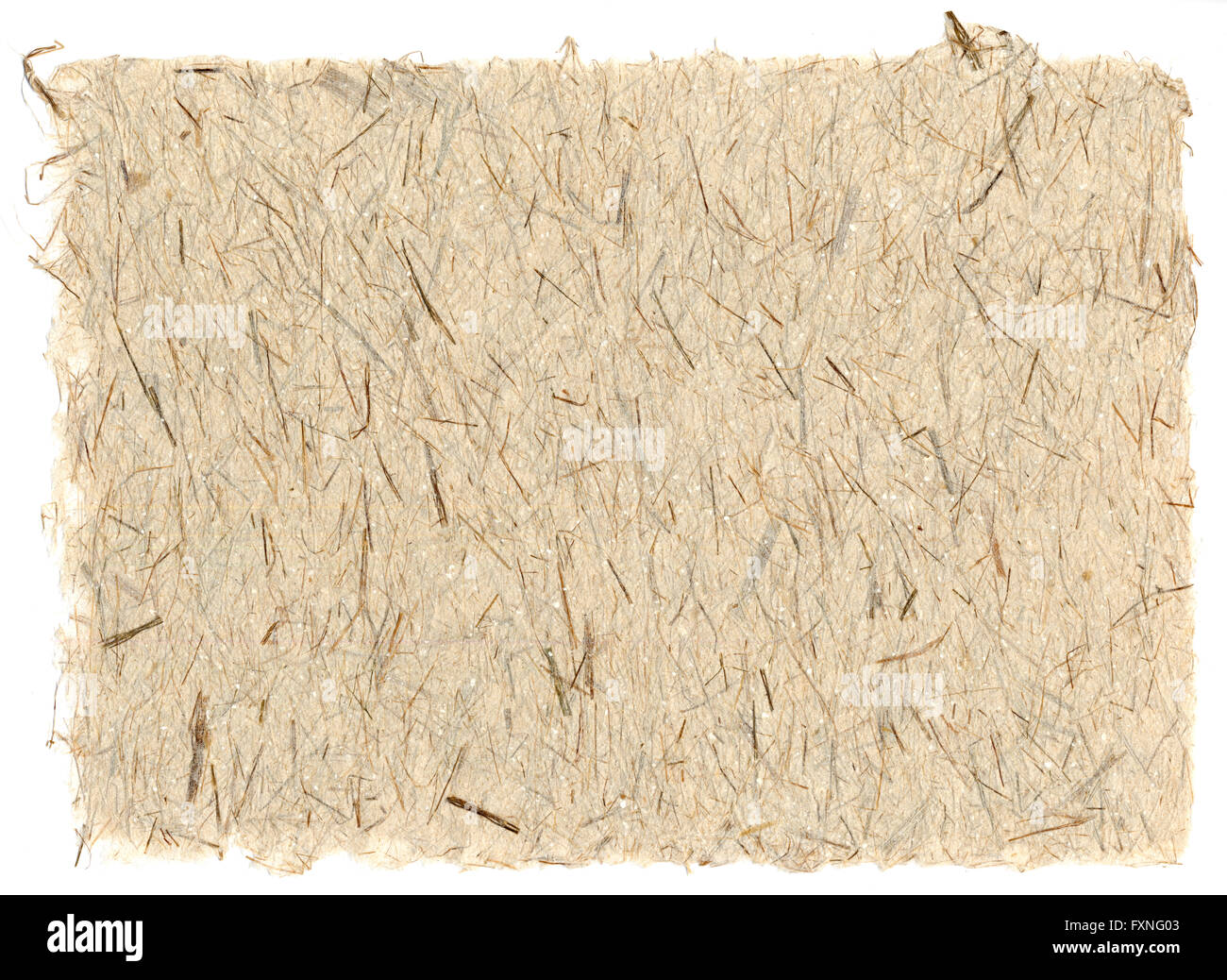 Sheet of handmade paper with plant fiber Stock Photo - Alamy
