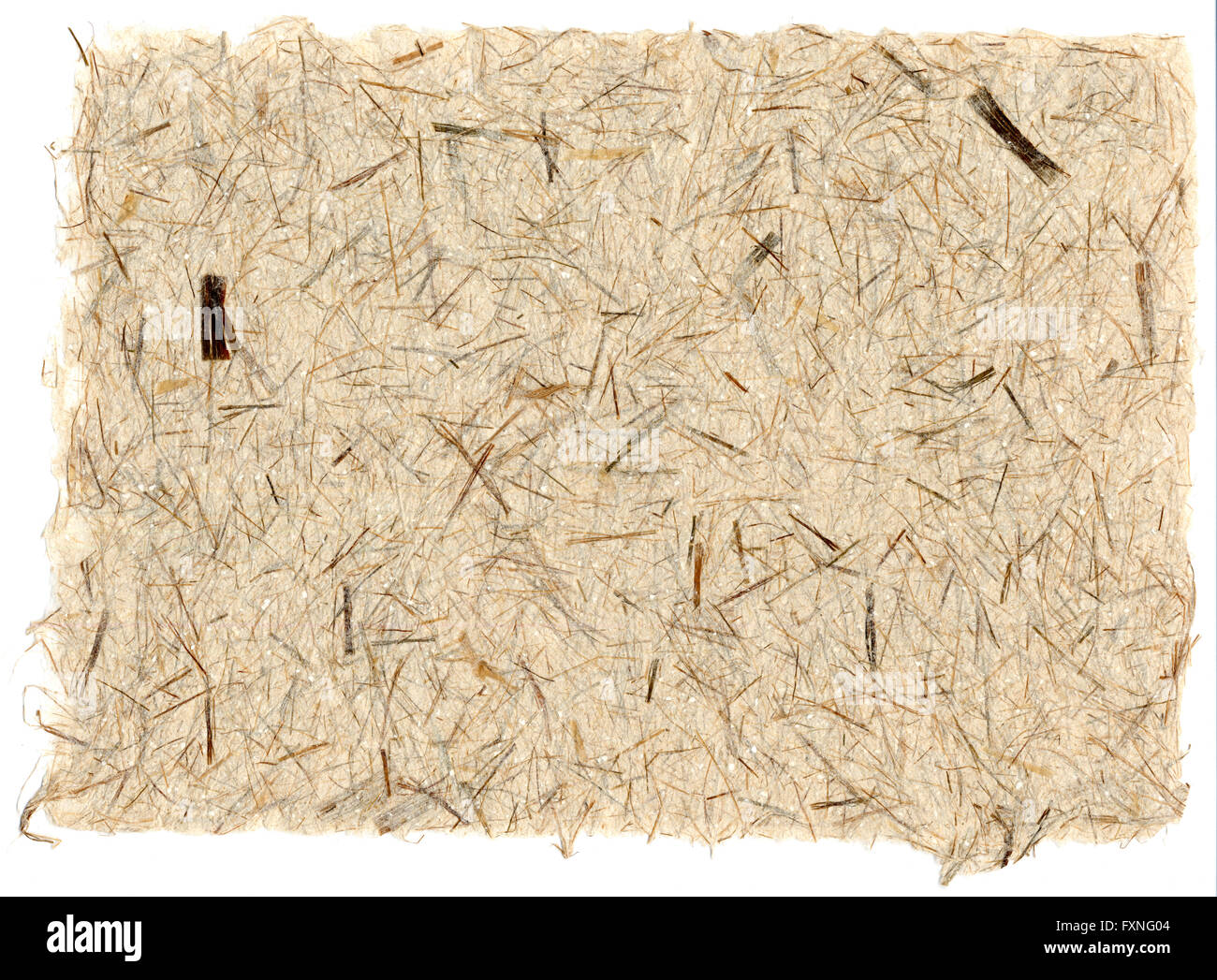 Sheet of handmade paper with plant fiber Stock Photo - Alamy
