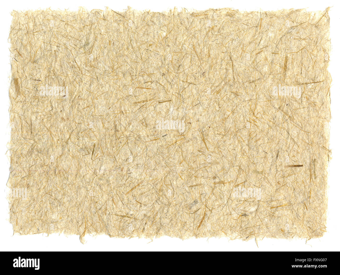 Sheet of handmade paper with plant fiber Stock Photo - Alamy