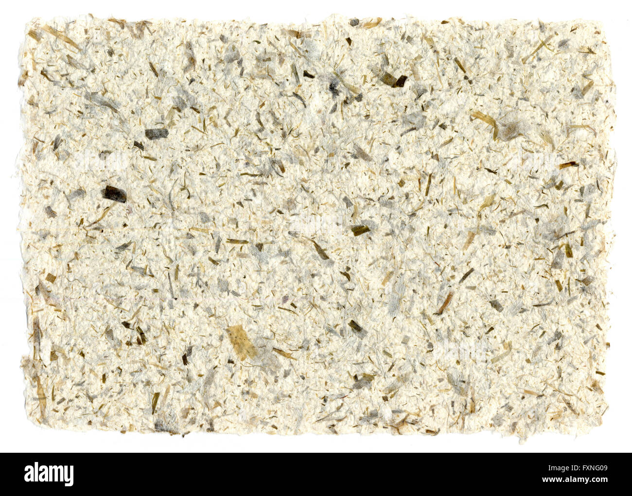 Sheet of handmade paper with plant fiber Stock Photo - Alamy