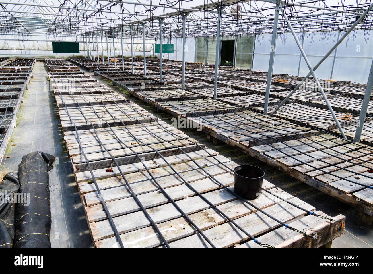 Empty benches in a greenhouse showing the tubes for irrigation Stock ...