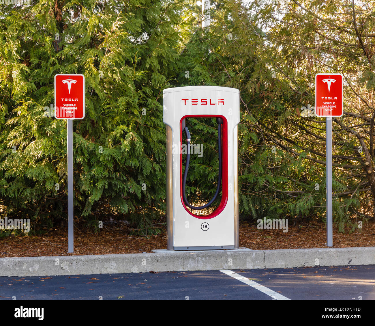 Tesla electric vehicle charging stations at a grocery store. Sandy ...