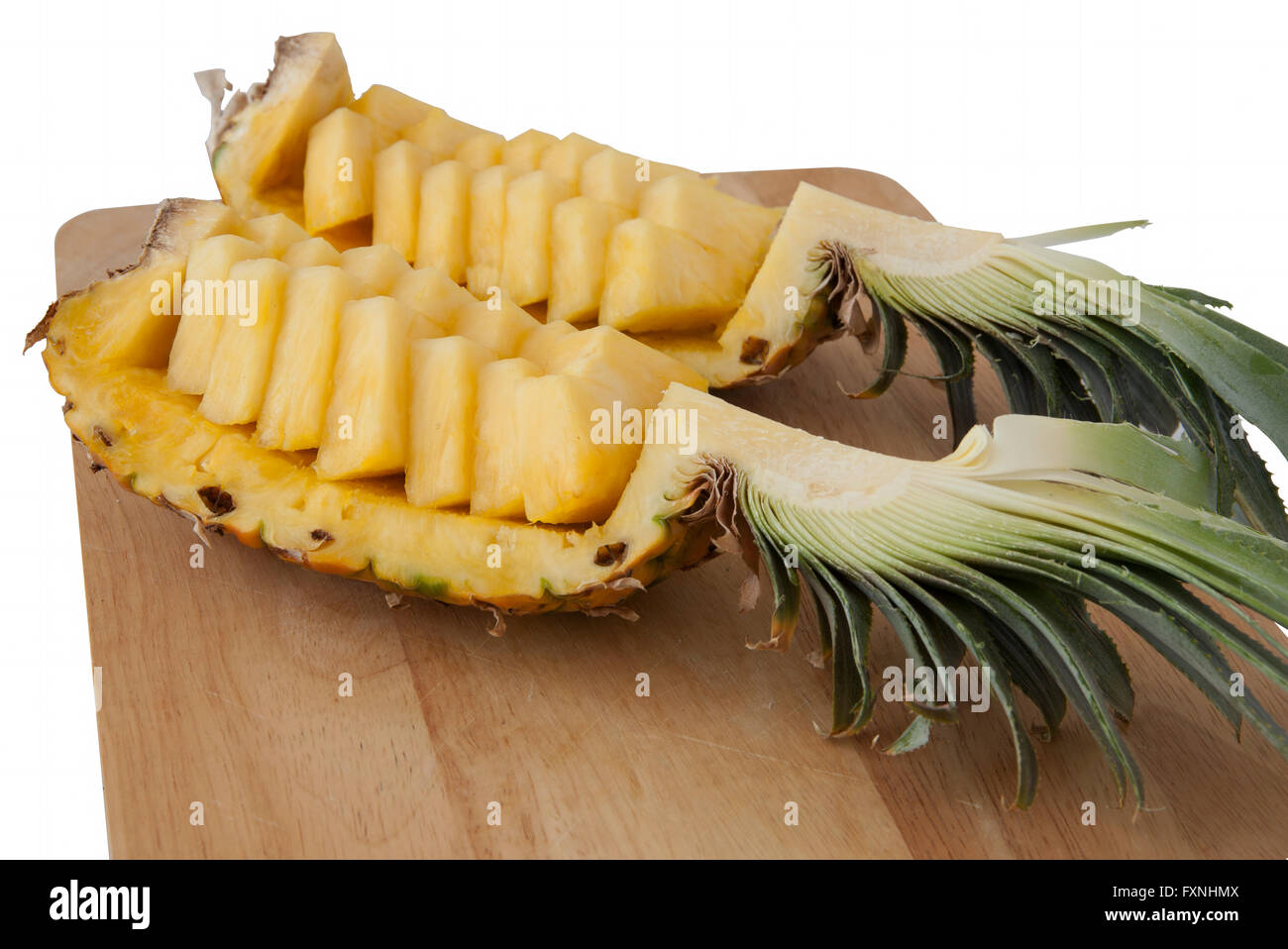Own shell hi-res stock photography and images - Alamy