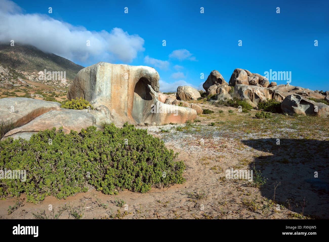Chilean coastline, Atacama region, the famous Desert Atacama Road Stock ...