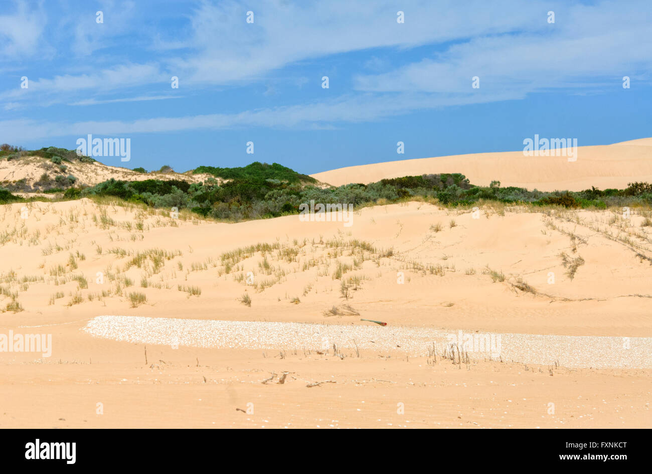 Aboriginal Midden, Coorong National Park, Fleurieu Peninsula, South ...