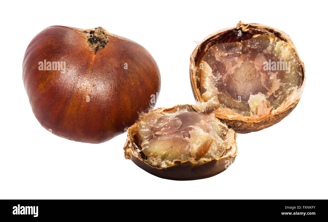 Fresh single chestnut and slice of half on white background Stock Photo ...