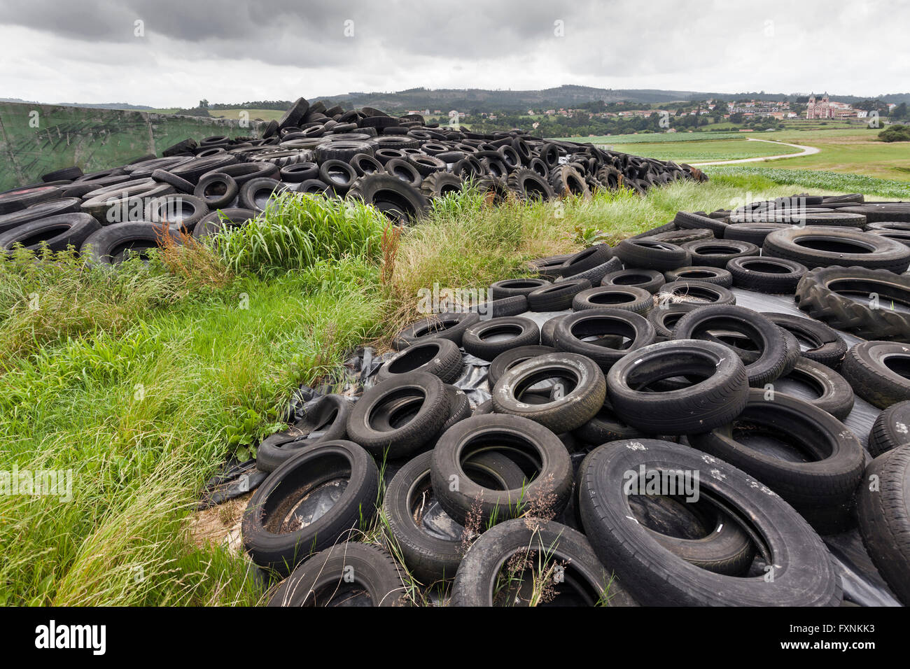 TIRES ON THE GRASS Stock Photo - Alamy