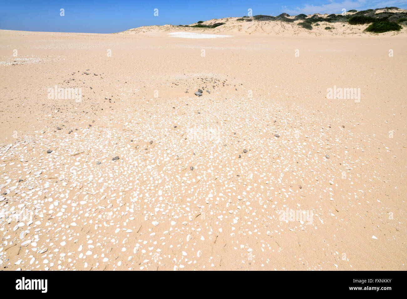 Aboriginal Midden, Coorong National Park, Fleurieu Peninsula, South ...