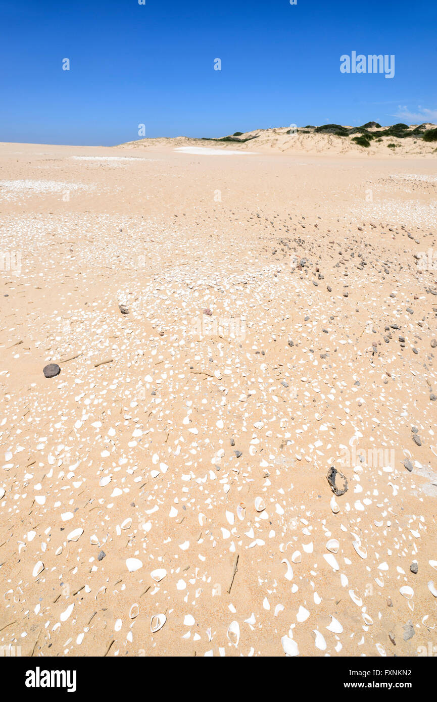 Aboriginal Midden, Coorong National Park, Fleurieu Peninsula, South ...