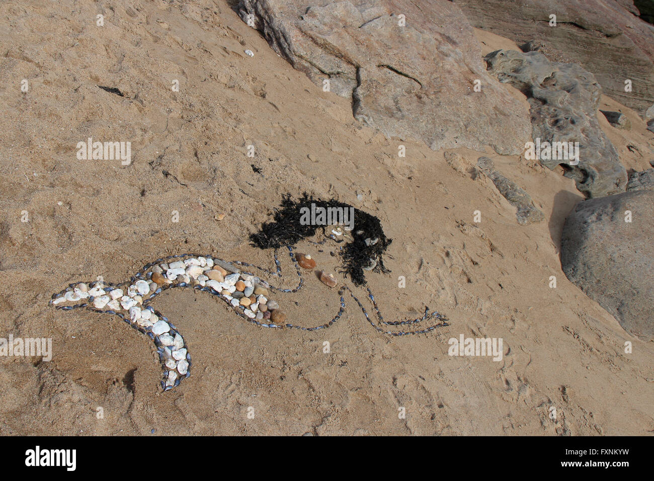 A mermaid created with shells and seaweed on a wild beach in ...