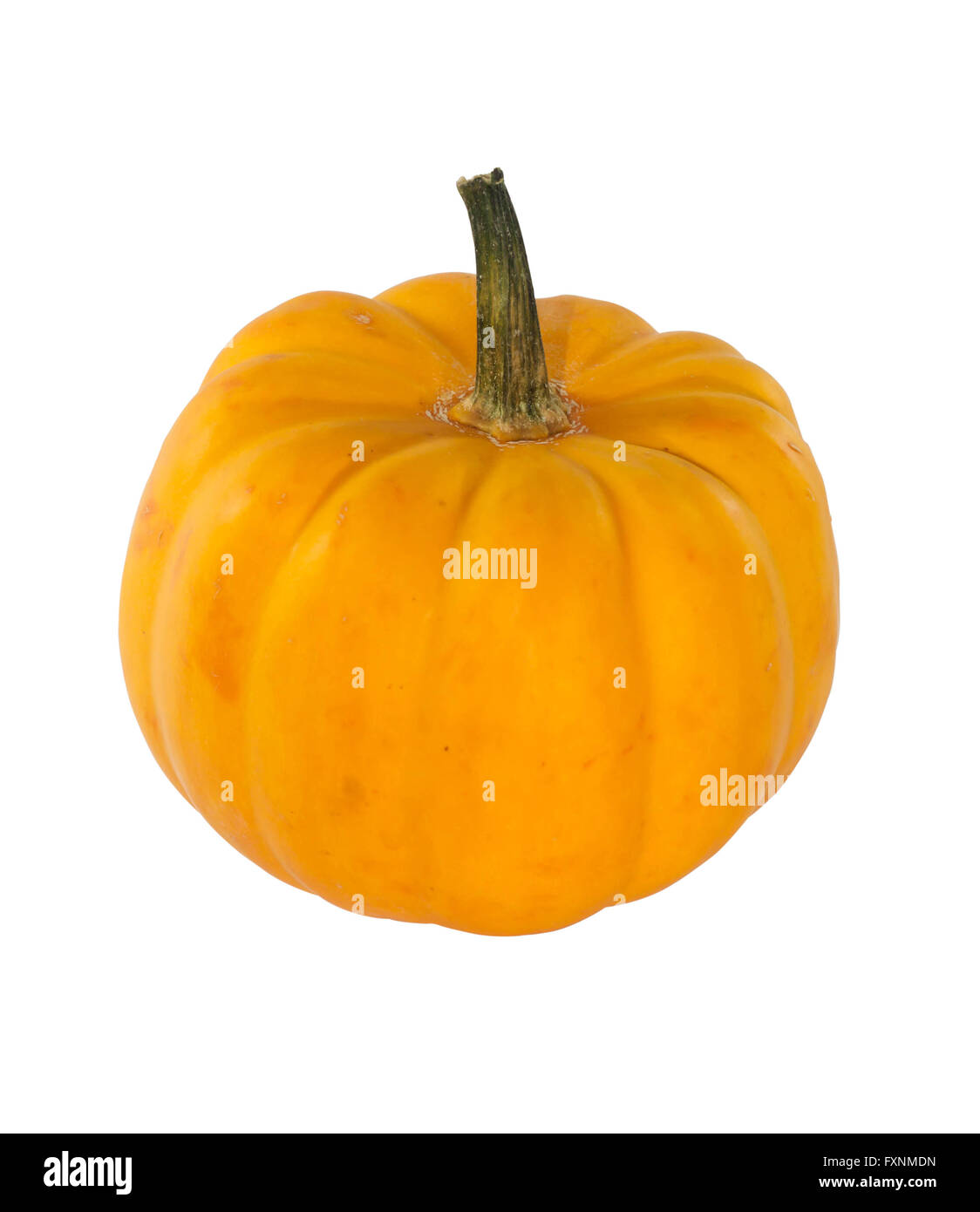 Little golden pumpkin for chinese new year Stock Photo - Alamy