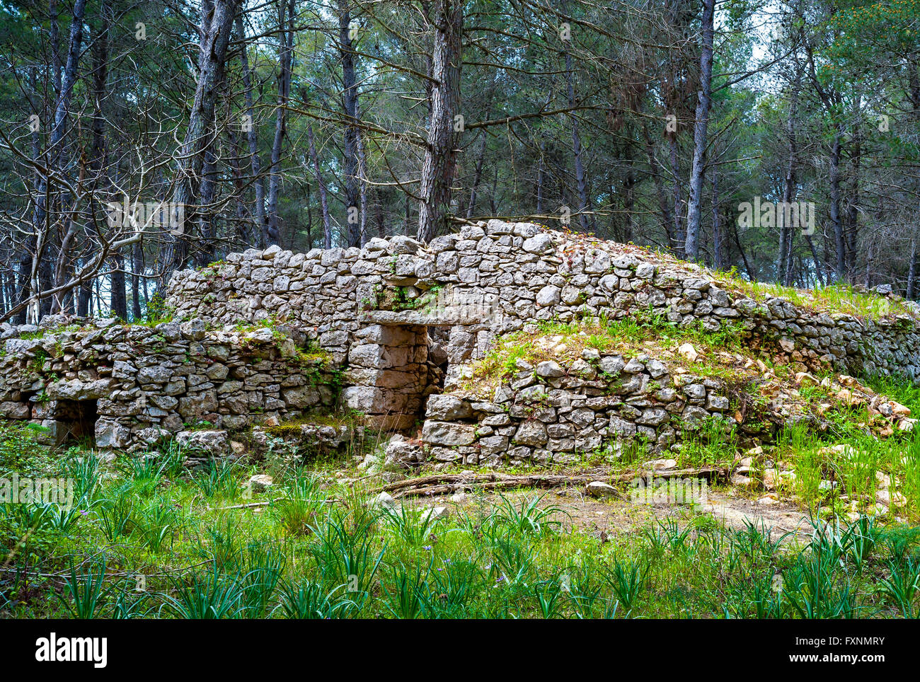 ruins of a stone building in the woods Stock Photo - Alamy