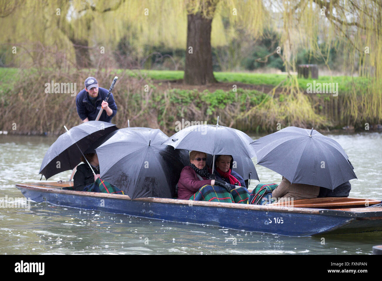 Tourists Cambridge under umbrellas in bad weather whilst walking and ...