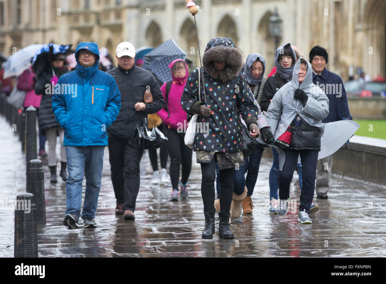 Tourists Cambridge under umbrellas in bad weather whilst walking and ...
