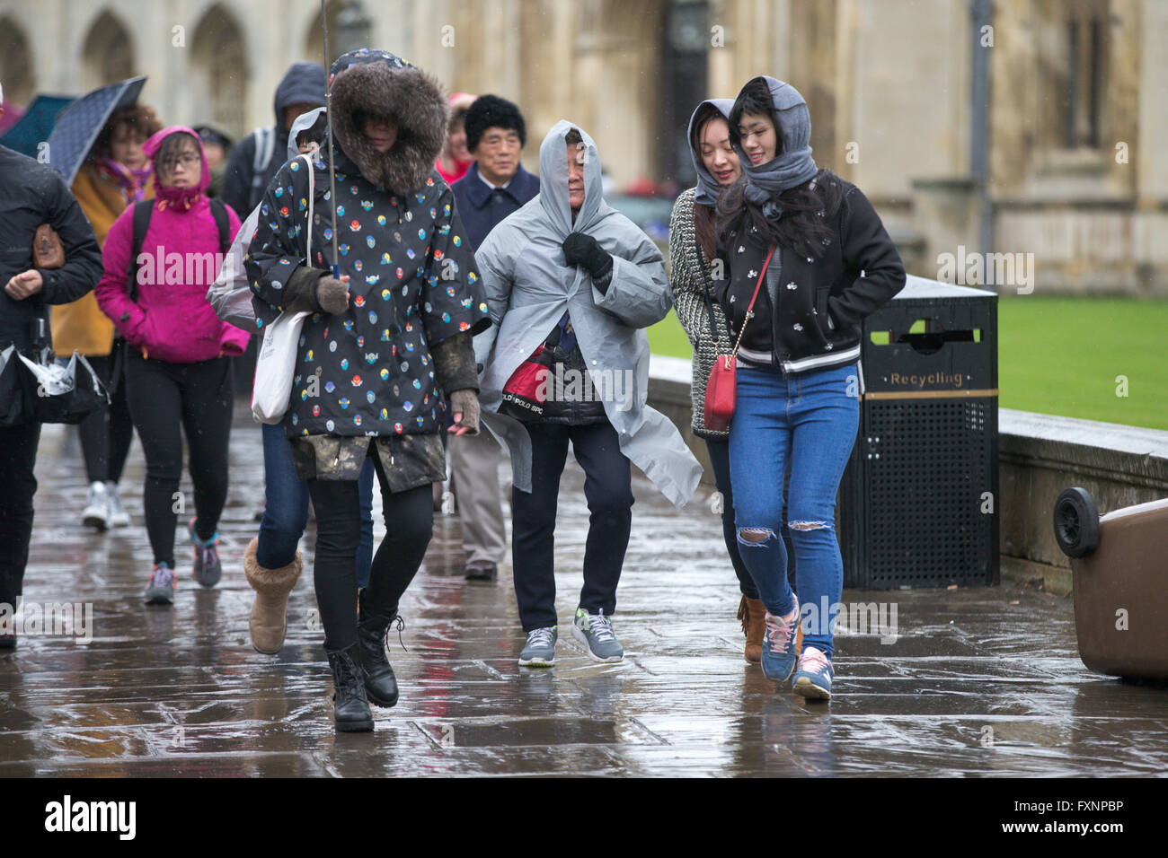 Tourists Cambridge under umbrellas in bad weather whilst walking and ...