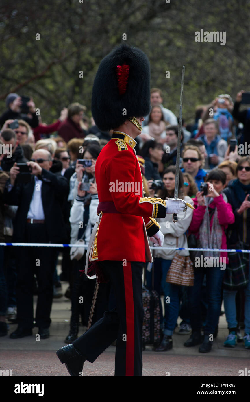 Guards buckingham palace sunny hi-res stock photography and images - Alamy