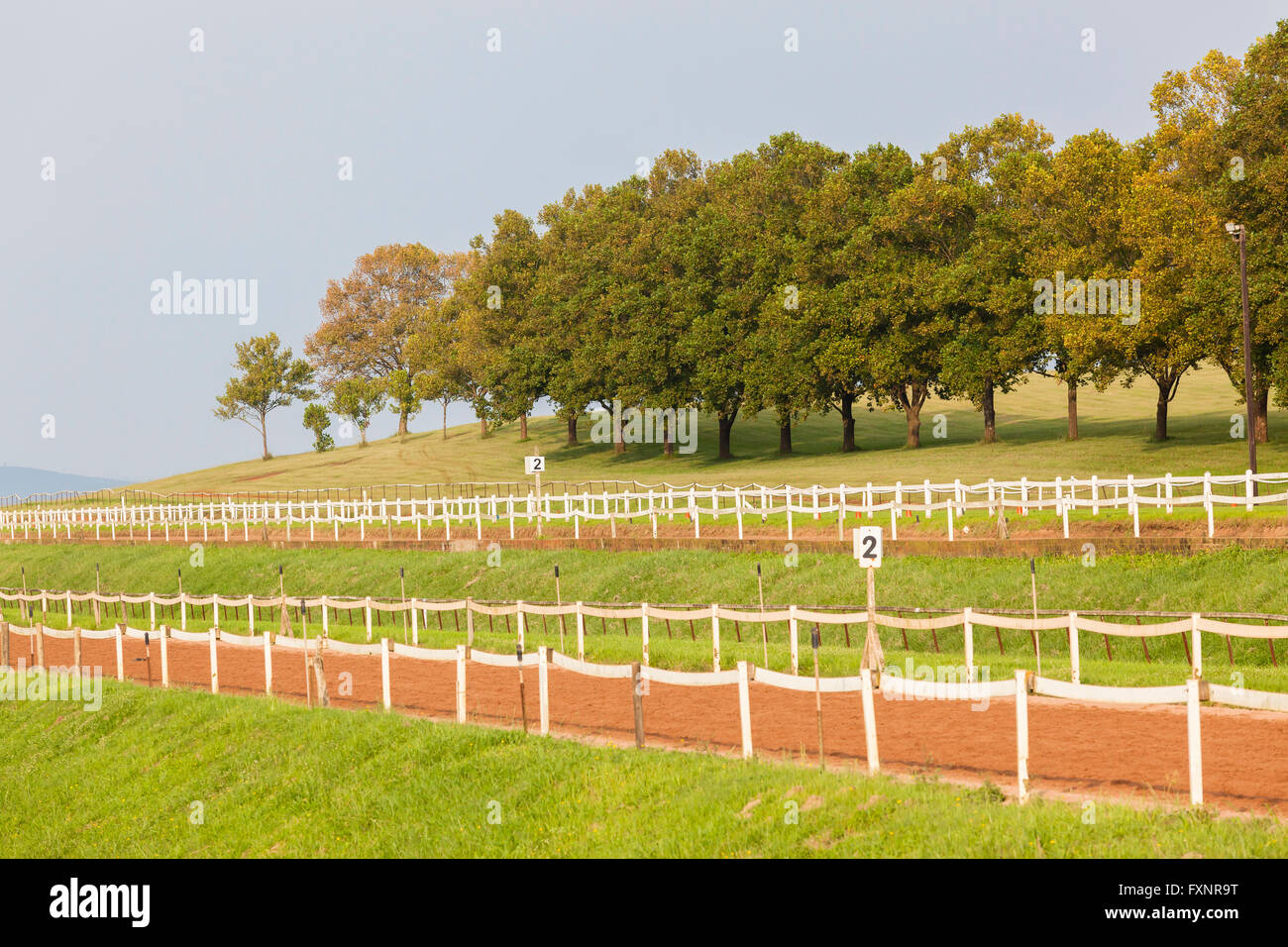 Race Horse training tracks countryside landscape Stock Photo - Alamy