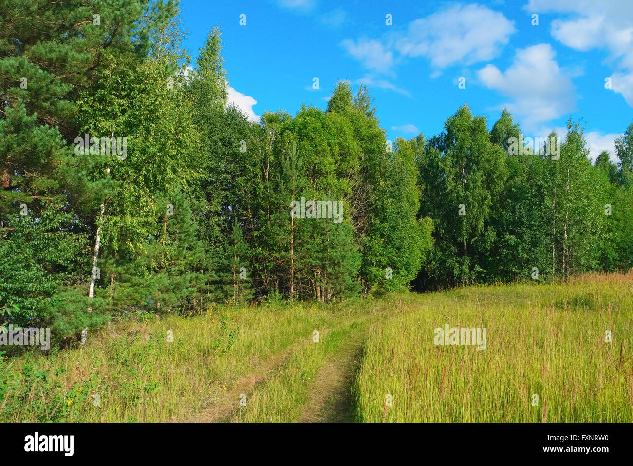 Beautiful landscape grass trees hi-res stock photography and images - Alamy