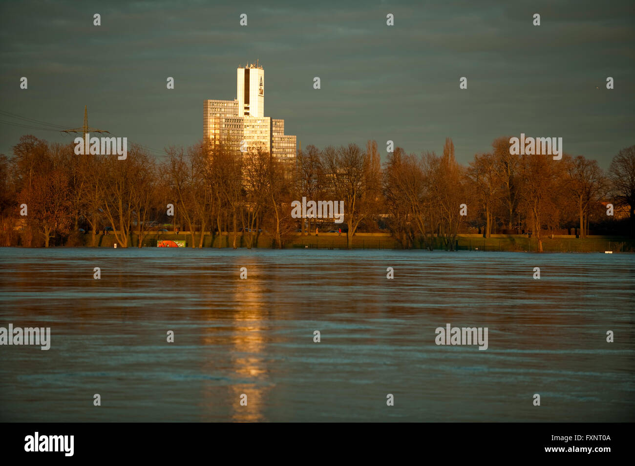 Köln, Blick über den Hochwasser führenden Rhein von Bayenthal zum ...