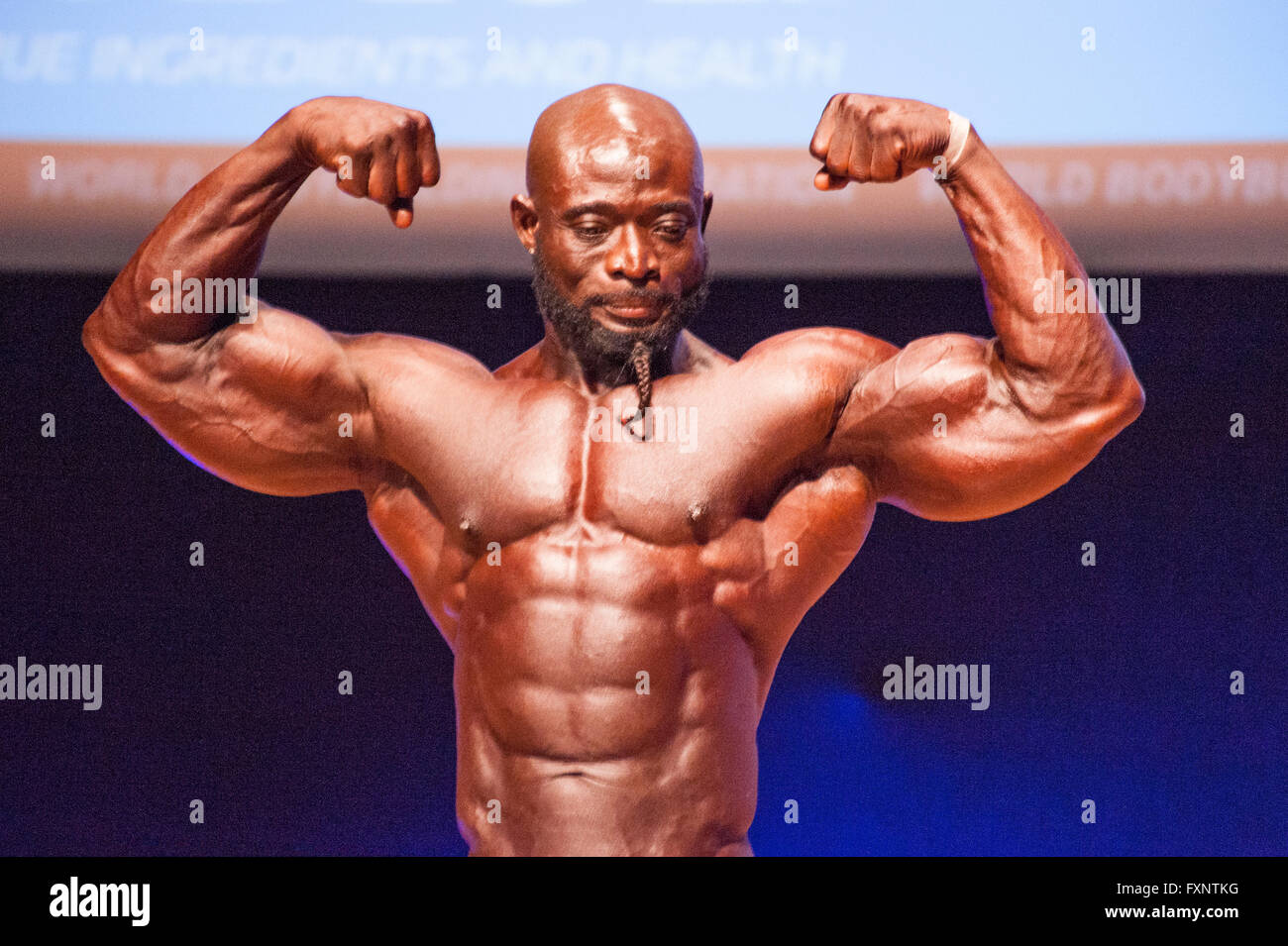 Male bodybuilder flexing thigh muscles hi-res stock photography and ...