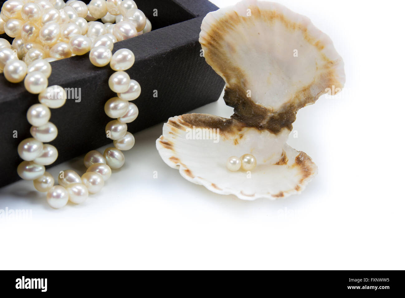 Kabibe Clipart Heart