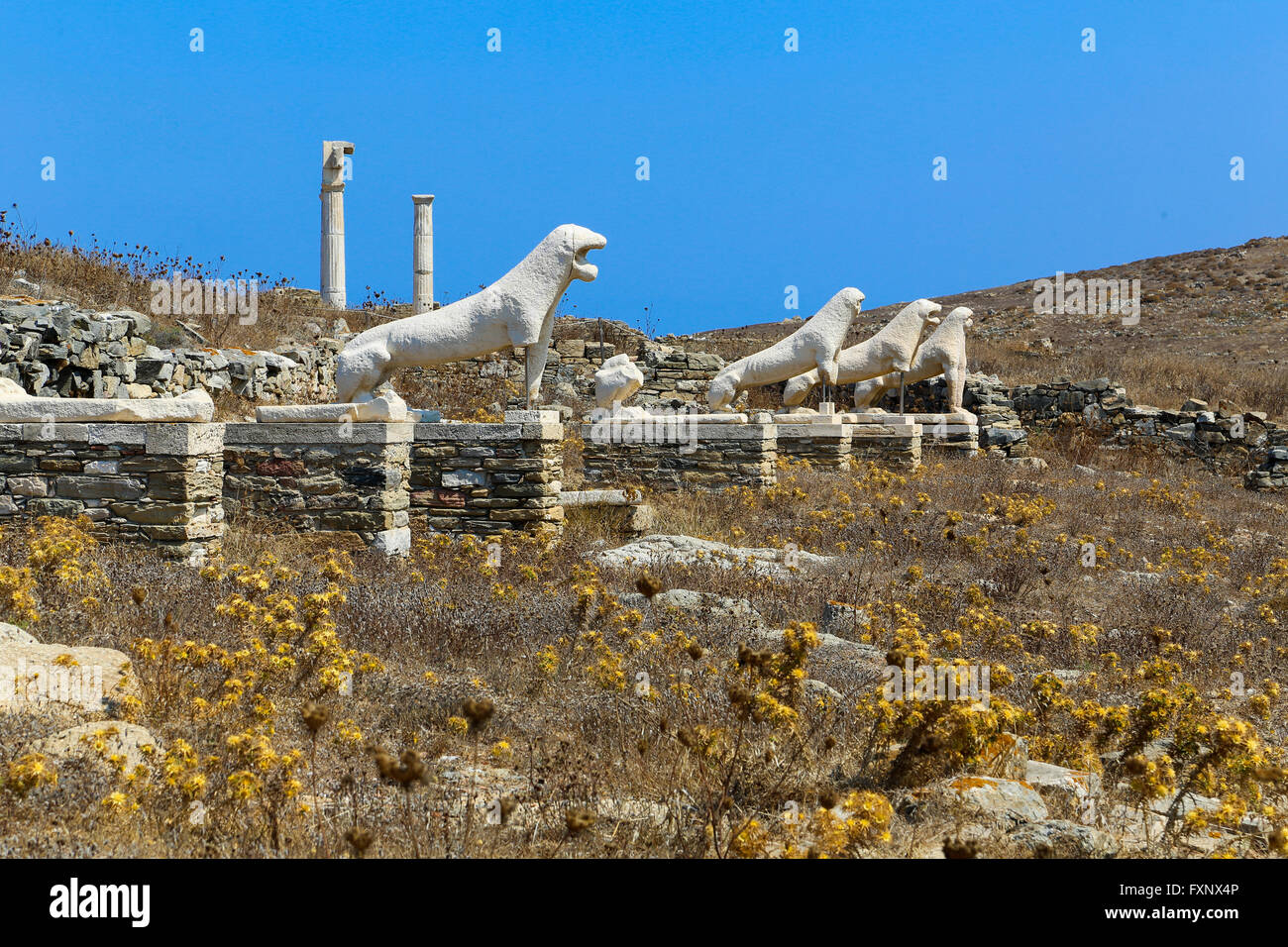 The island of Delos: an important archaeological site in Greece Stock ...