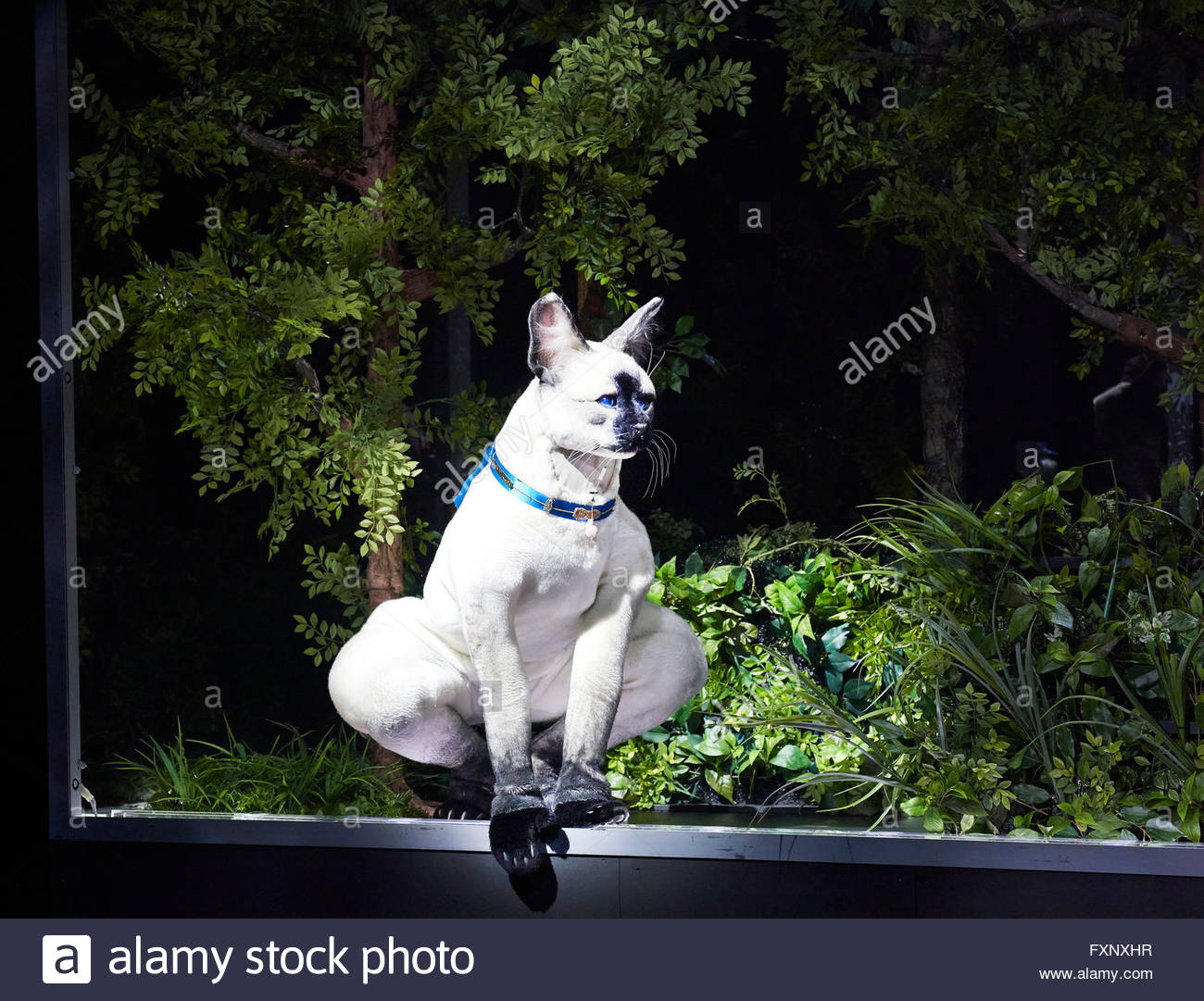 Kafka On The Beach High Resolution Stock Photography and Images - Alamy
