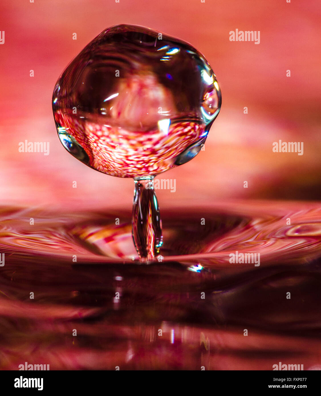 red macro water drops Stock Photo - Alamy