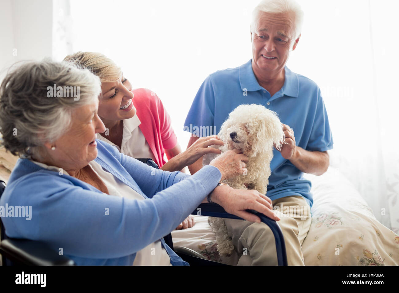 Geriatric pet care hi-res stock photography and images - Alamy