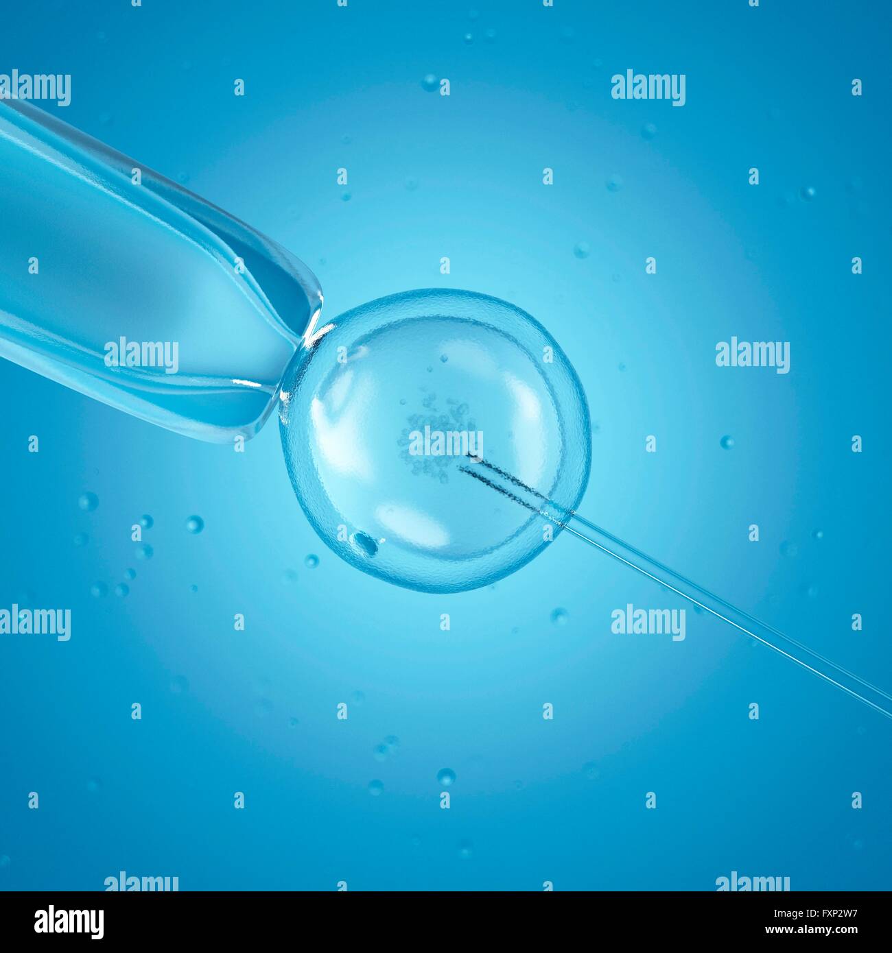 In vitro fertilisation (IVF), computer illustration Stock Photo - Alamy