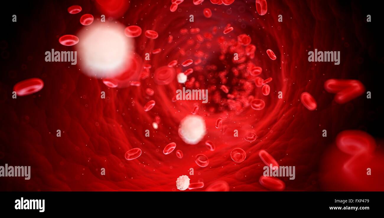 Red blood cells, computer illustration Stock Photo - Alamy