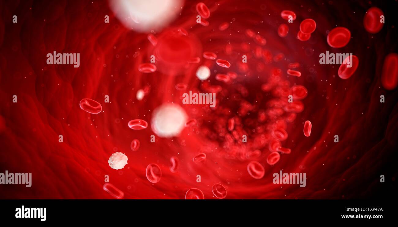Red blood cells, computer illustration Stock Photo - Alamy