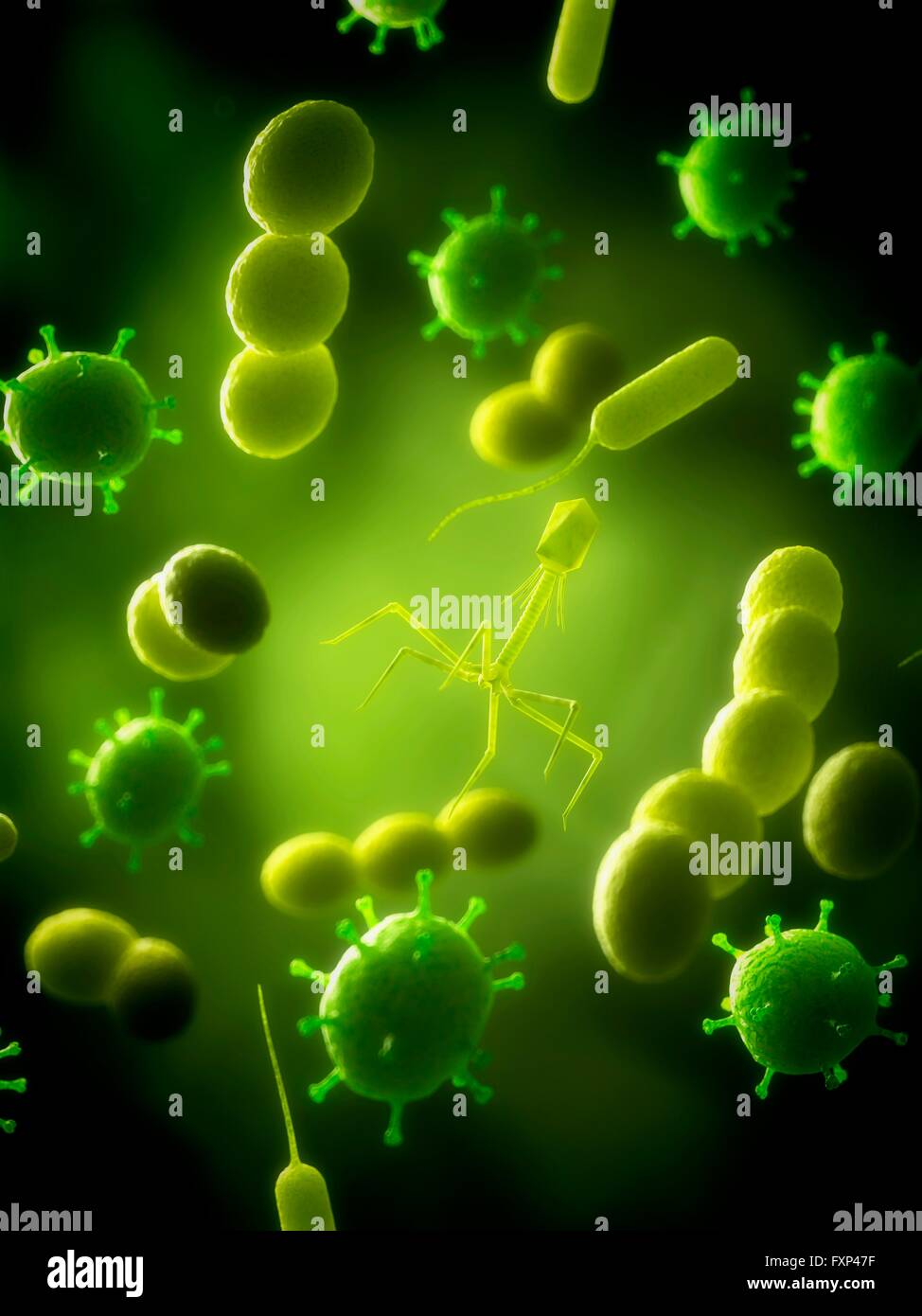 Bacteria and virus, computer illustration Stock Photo - Alamy