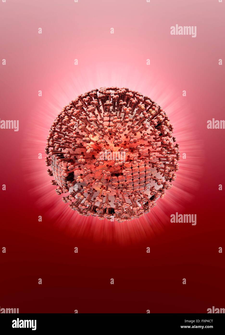 Flu virus, computer illustration Stock Photo - Alamy