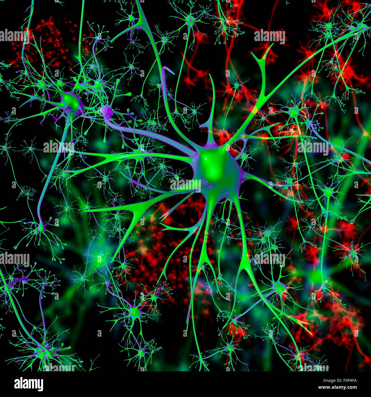 Neuron, computer illustration Stock Photo - Alamy