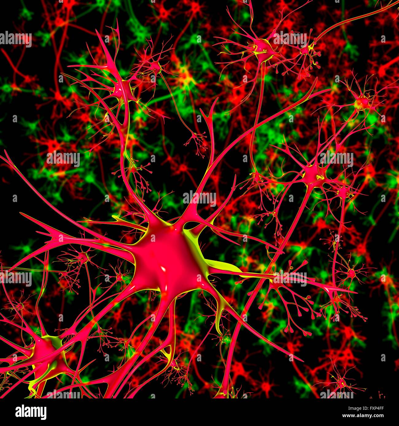 Neuron, computer illustration Stock Photo - Alamy