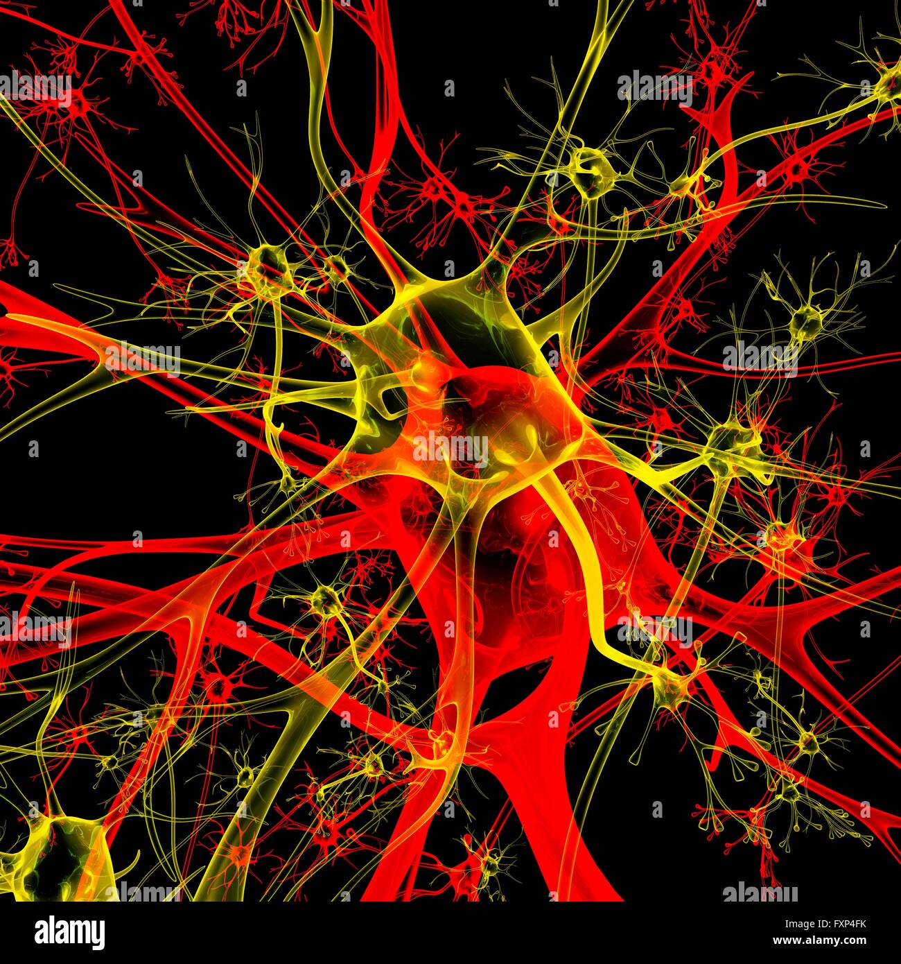 Neuron, computer illustration Stock Photo - Alamy
