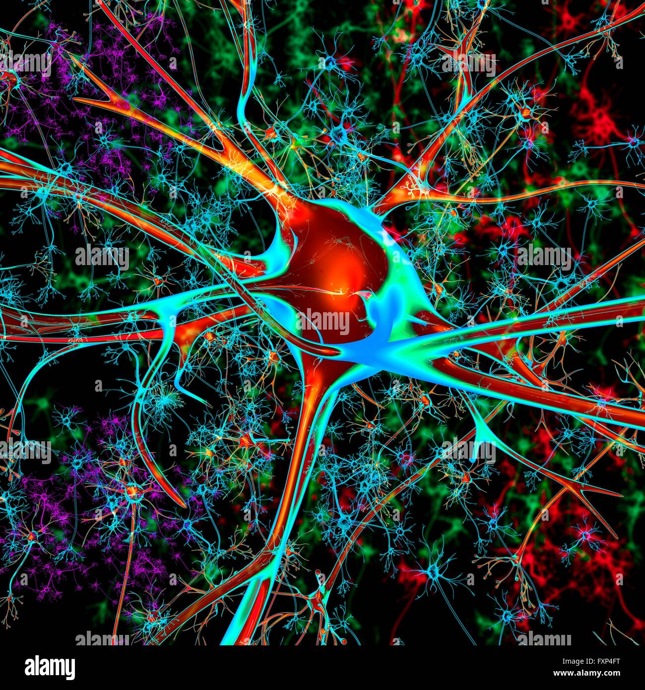 Neuron, computer illustration Stock Photo - Alamy
