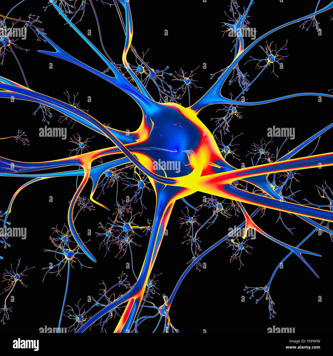 Neuron, computer illustration Stock Photo - Alamy