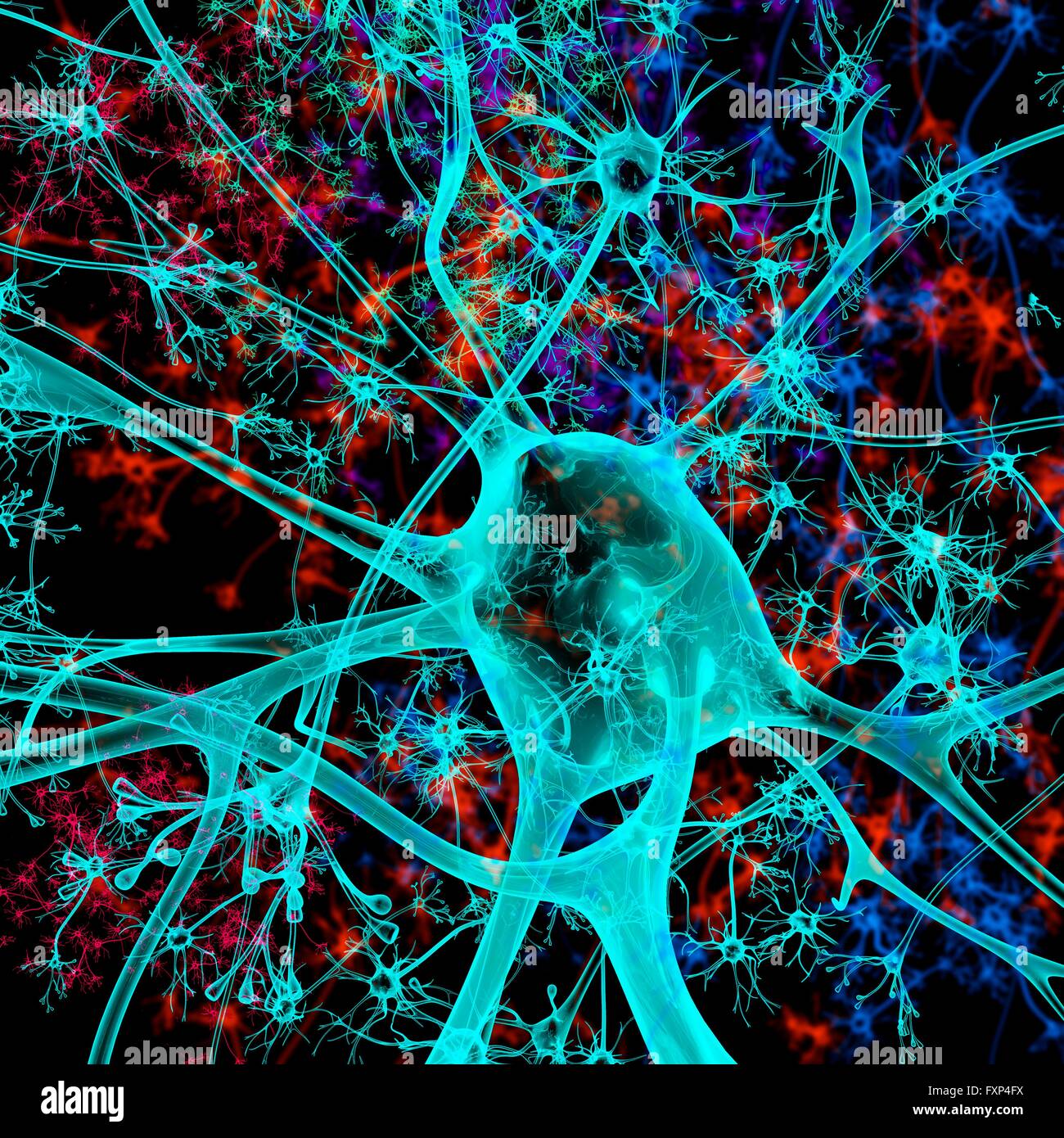 Neuron, computer illustration Stock Photo - Alamy