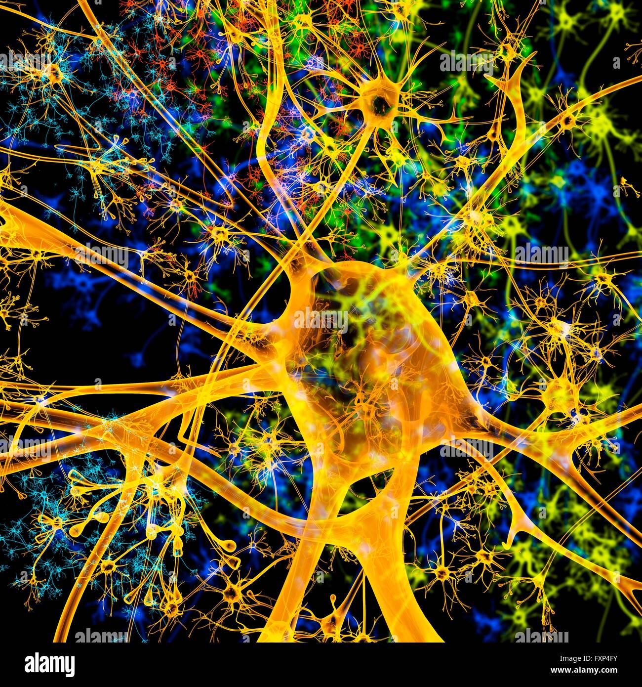 Neuron, computer illustration Stock Photo - Alamy