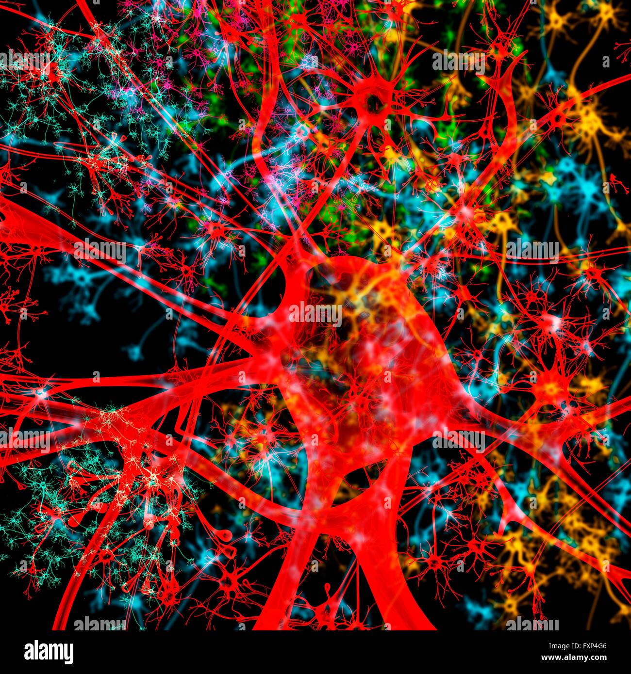Neuron, computer illustration Stock Photo - Alamy