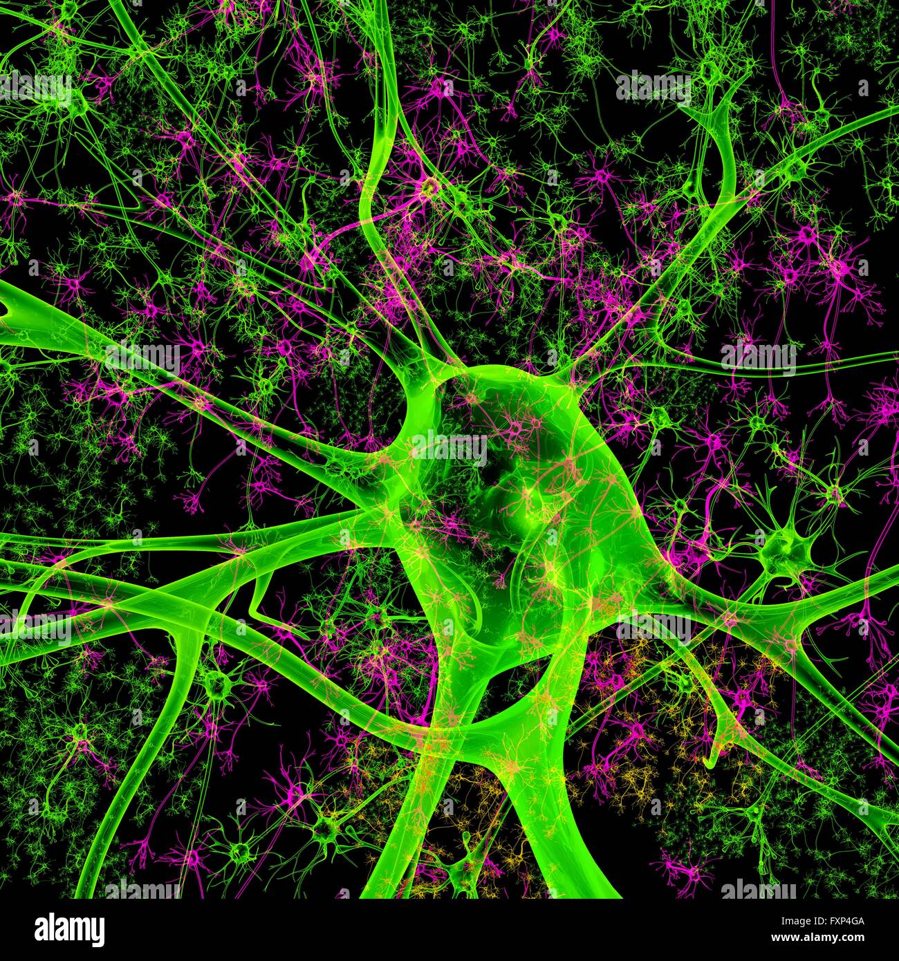 Neuron, computer illustration Stock Photo - Alamy