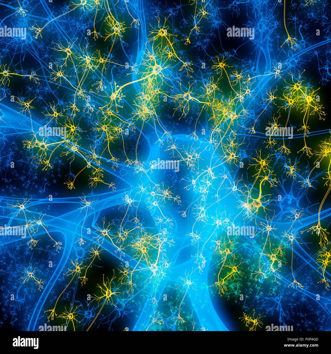 Neuron, computer illustration Stock Photo - Alamy