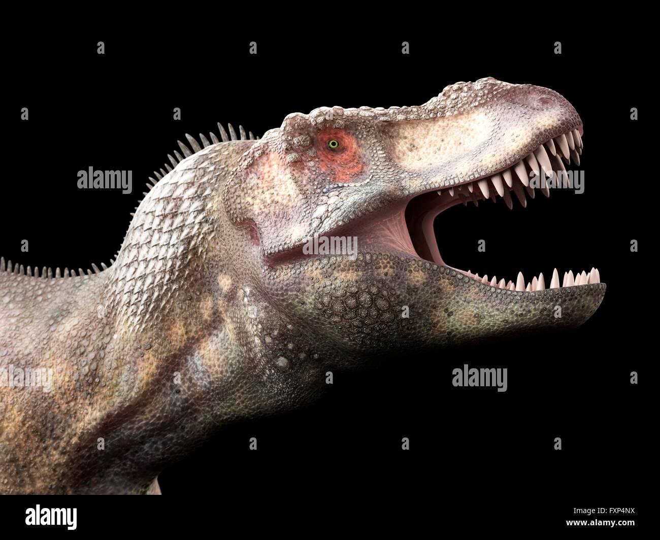 Dinosaur, computer illustration Stock Photo - Alamy
