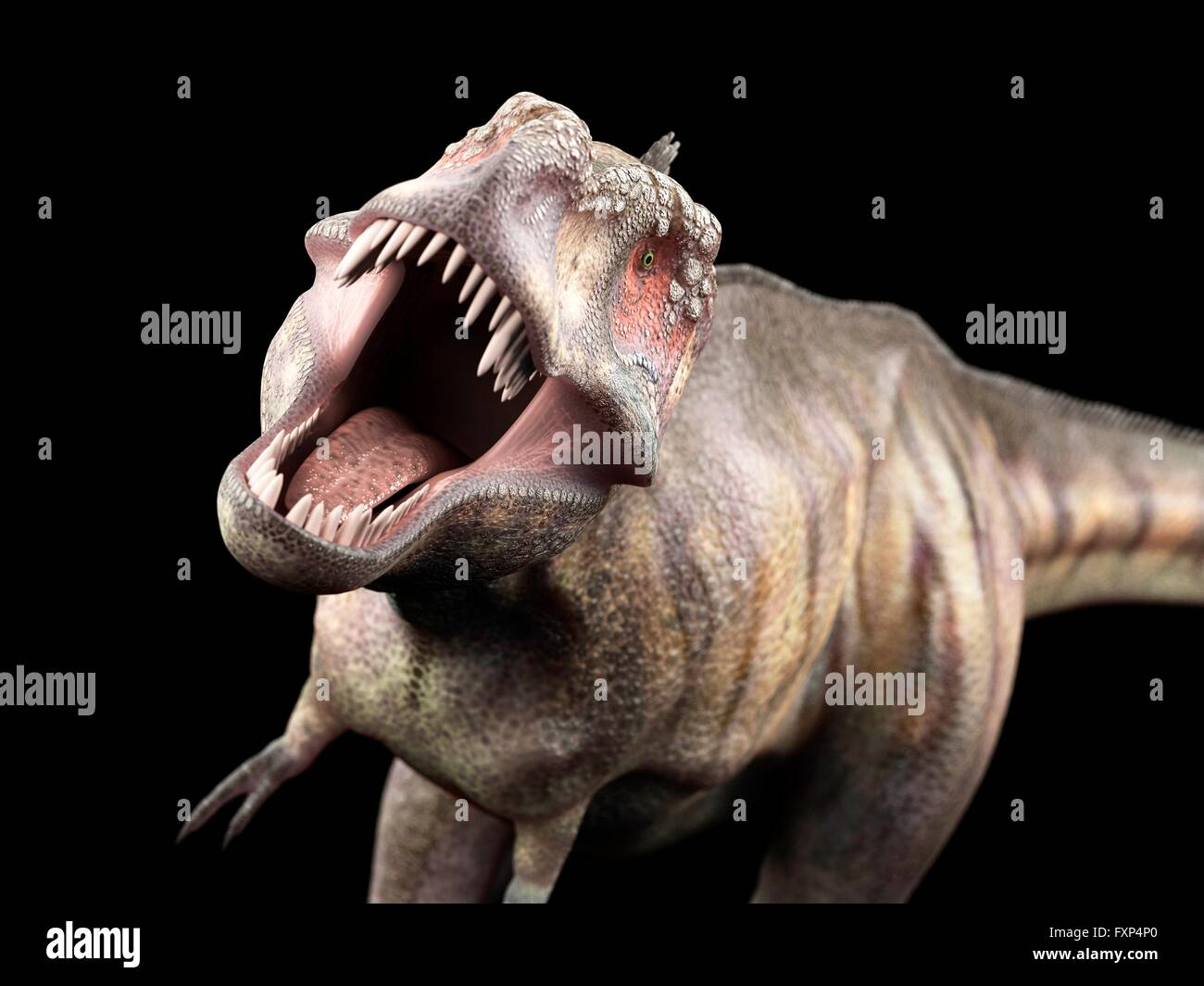 Dinosaur, computer illustration Stock Photo - Alamy