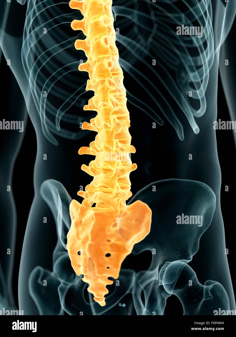 No spine hi-res stock photography and images - Alamy