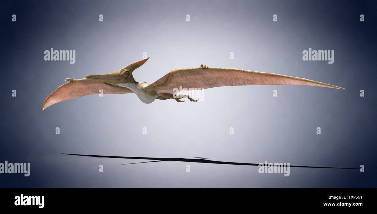Dinosaur, computer illustration Stock Photo - Alamy