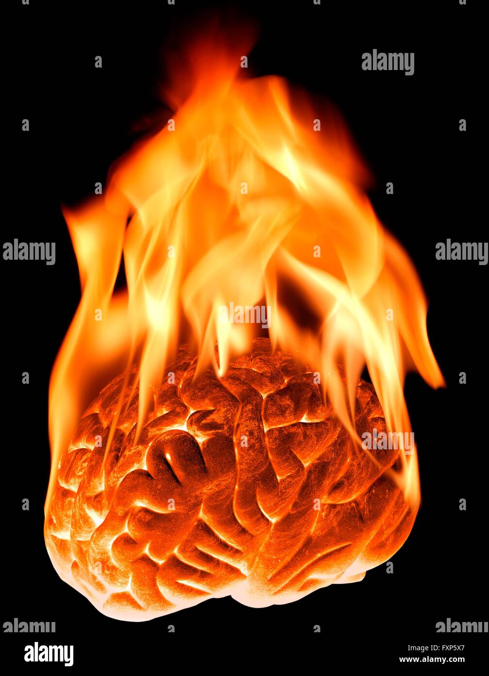 Burning human brain, computer artwork Stock Photo - Alamy