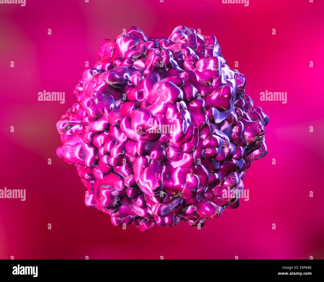 Human bocavirus, computer illustration. The human bocavirus (HBoV), of ...